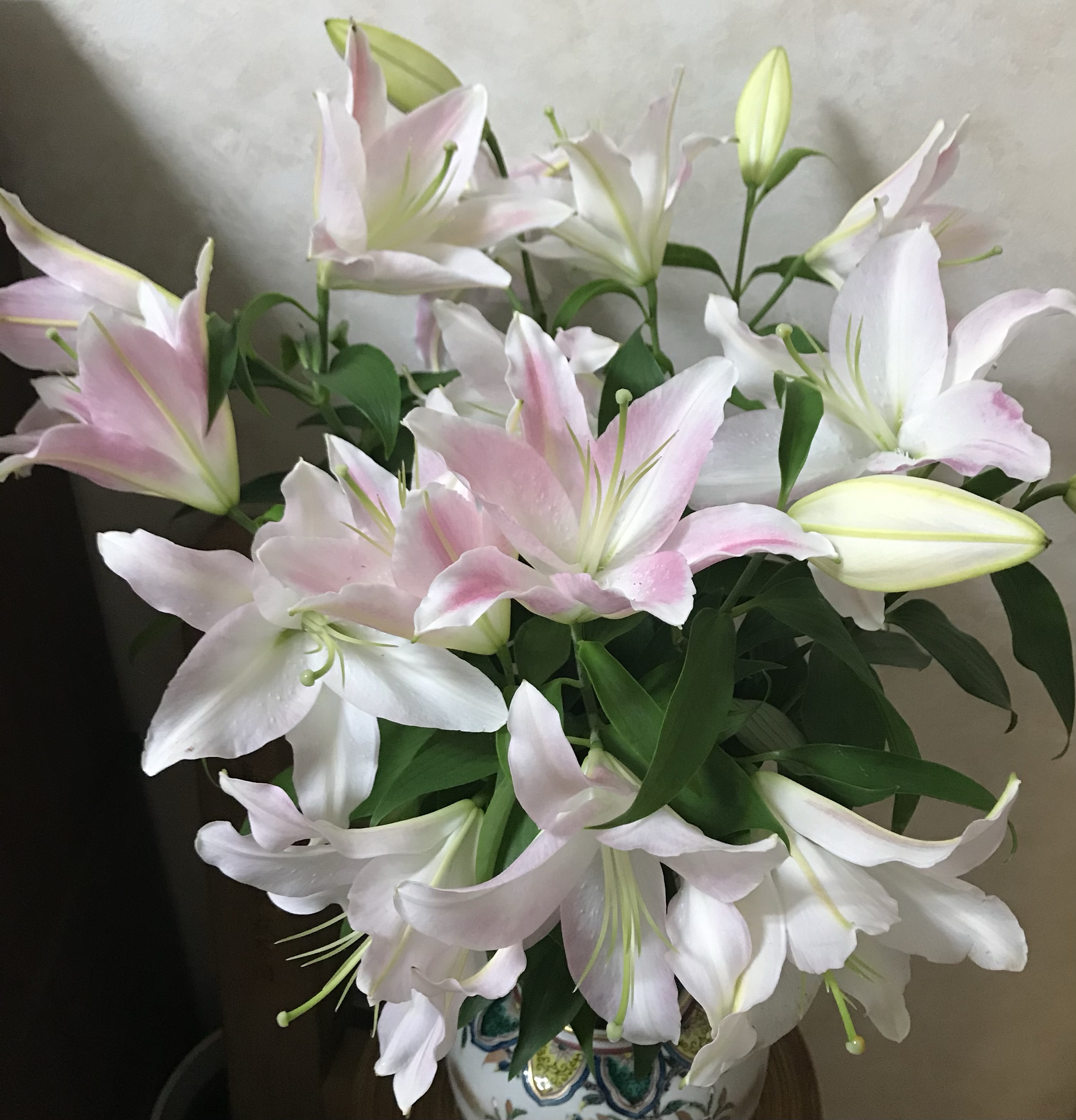 img_3362-1 – 剛柔空手聖心館 清新町支部